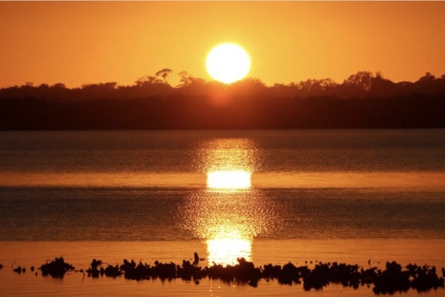 Locating and healing stuck fear in my body | The Well: bodymindheartspirit